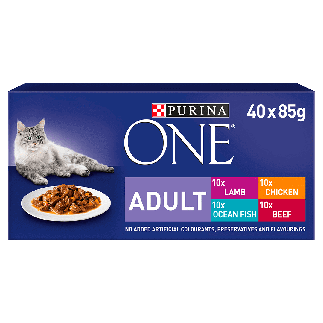 PURINA ONE® Mini Fillets Mixed Selection in Gravy | Purina