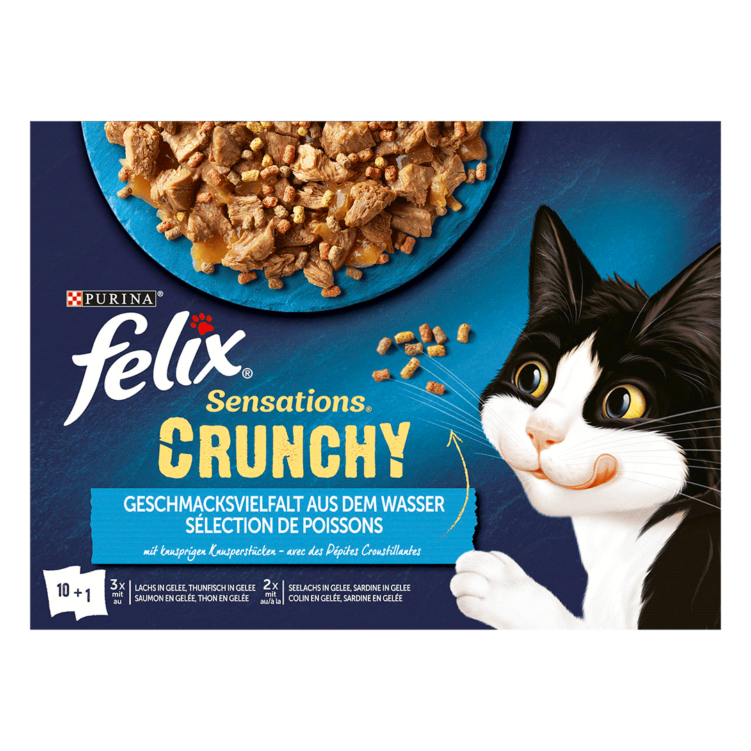 Sensations Crunchy Geschmacksvielfalt Wasser | PURINA FELIX
