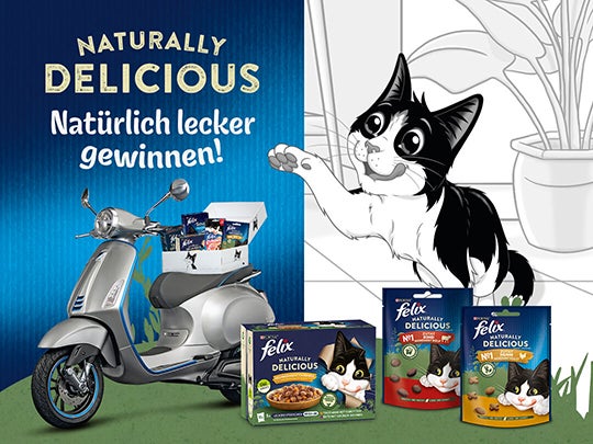 FELIX Gewinnspiel E-Roller oder Futterpaket FAQ | Purina DE