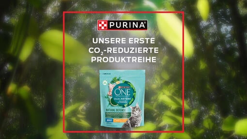 Nachhaltigkeit für einen gesünderen Planeten | PURINA